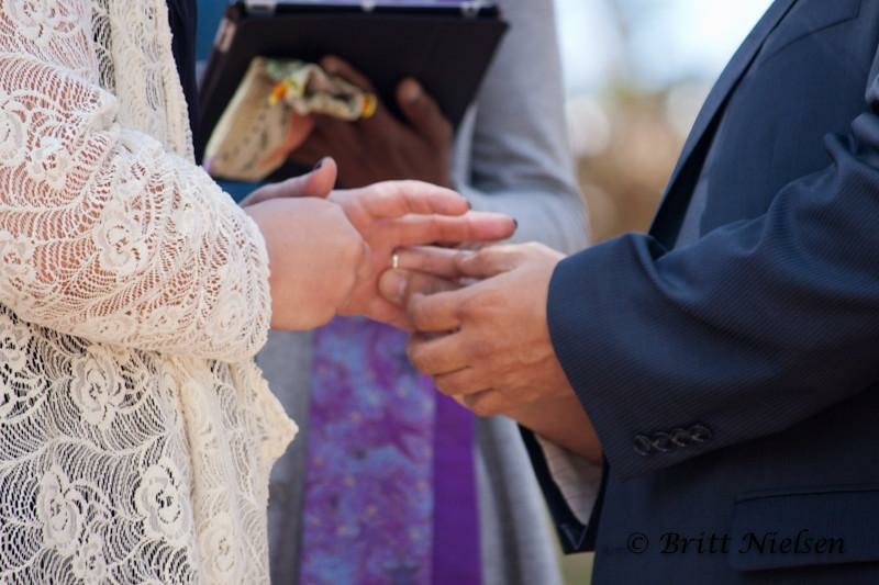 Writing Wedding Script Part 2 - Rose Training Australia